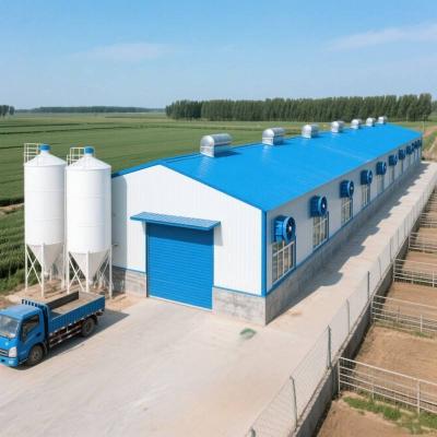 China Prefabricated Steel Structure Poultry Layer Broiler Farm Building for sale
