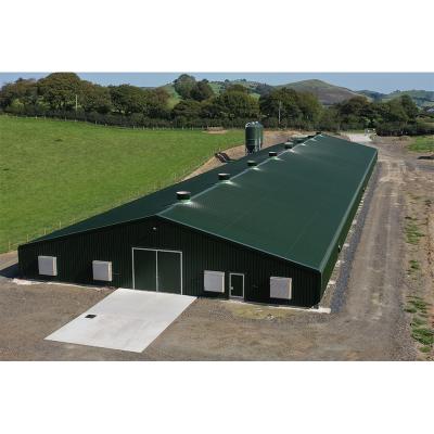 China Low Cost Layer Broiler Chicken Steel Structure Prefab Poultry Farm Building for sale