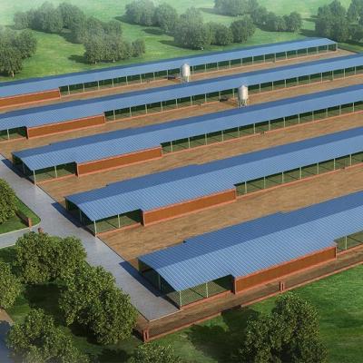 China Layer Broiler Steel Structure Chicken House Building for Farming for sale