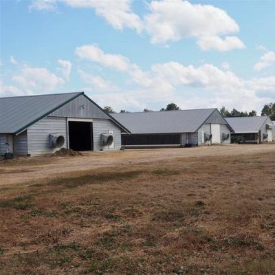 China China's Prefabricated Steel Structure Chicken House Durable Poultry Farm Building for sale