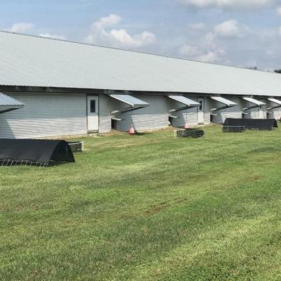 China Prefab Lightweight Steel Building for Poultry Farm Building for sale