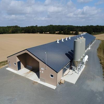 China Prefab Light Steel Chicken House Shed Poultry Farm Building for sale