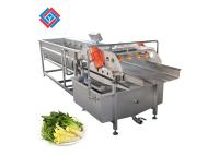 China ODM CE Vegetable Fruit Washing Machine 500kg/h Easy to Operate Washer for sale