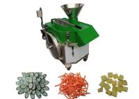 China Root Fruit Processing Equipment Lemon Apple Orange Slicing Banana Dicer Shredder 750W 500-800kg/h for sale