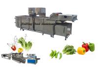 China Automatic Air Bubble Salmon Fish Cleaning Machine 400-800kg/h 1.5KW 304 Stainless Steel for sale
