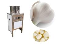 China 380 V Garlic Processing Machine for sale