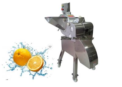 China 1500W Fruit Processing Equipment For Strawberry / Date / Mushroom / Pineapple for sale