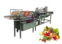 China 4.8KW Automatic Vegetable Fruit Washing Machine Vortex Type Lettuce Washer 4200mm for sale
