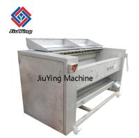 China Industrial Cassava Potato Washing Peeling Machine 1000-1500kg/hr 1.5kw for sale