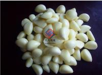 China Automatic  Garlic Separating Machine With Pressure Buffering Function for sale