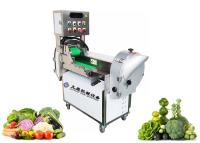 China Leafy And Root Vegetable Processing Equipment Multifunctional 110V 2.5KW for sale