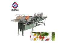 China Industrial Vortex Vegetable Washing Machine 800-1000kg/H Salad Cleaning Equipment 4.8kW for sale