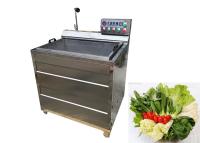 China Customized 60Hz Vegetable Fruit Washing Machine 304 Stainless Steel 1000mm for sale