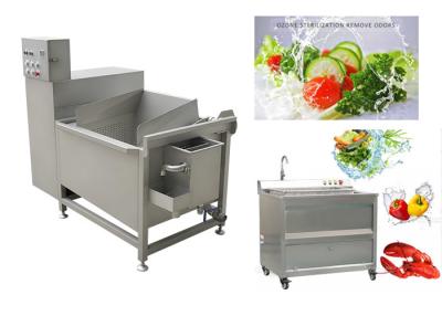 China 250L Multi Functional Vegetable Cleaning Machine With Full Stainless Steel Washing Tank for sale