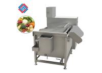 China Automatic Disinfection Leaf Fruit Vegetable Washing Machine 1700x1000x1020mm 2HP for sale