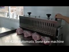 Het volledig-automatische van het het vleesbeen van de beenzaagmachine van het de snijdersroestvrije staal het vleesbeen zag machine tj-420A