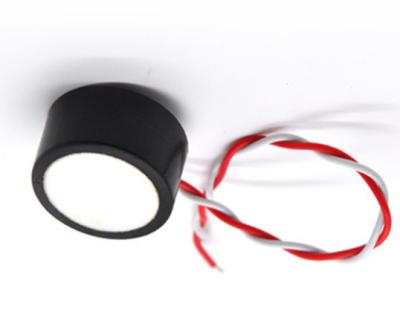 Cina Trasduttore ad ultrasuoni PZT per misurazioni sensibili con una portata minima del sensore di 15 cm in vendita