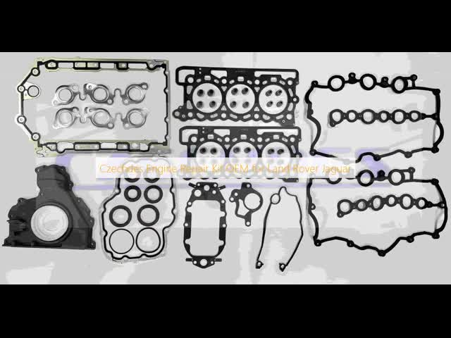 Equipo de réparation de moteurs tchèques OEM für Land Rover und Jaguar