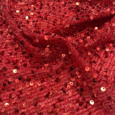 Cina Tissu di ricamo con maglia lucida per abbigliamento in vendita