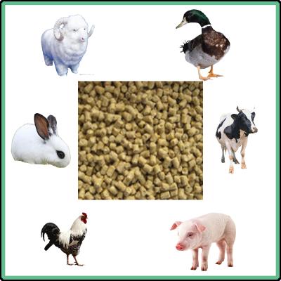 China 3D Snack pellets(Double layered Triangle snacks pellet ) machine for sale