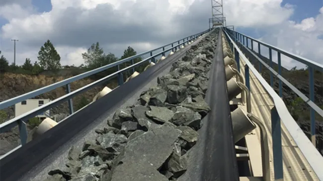 Long Span Belt Conveyor for Power Plant Meet Cema Standard
