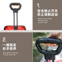 China Remote Control Electric Folding Wagon Outdoor Push Pull Cart 230L for sale