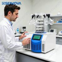 Quality 8 Port Manifold Type Benchtop Freeze Dryer -60C 3Kg Bench Top Lyophilizer for sale