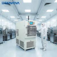 Quality 10Kg Pilot Freeze Dryer PLC Touch Screen Laboratory Freeze Dryers for sale