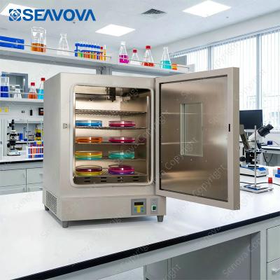 China 136L 200C Floor Standing Laboratory Drying Oven NuOven FB136-I for sale