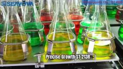 CO2 Incubator Shaker ST-213R