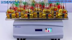 110V 220V Benchtop Tabletop Laboratory Orbital Shaker SFS-701