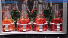 Non-refrigerated Orbital Linear Laboratory Incubator Shaker ST-203X2