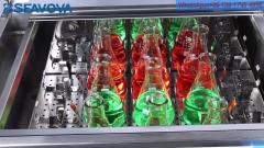 Linear Shaking Water Bath RWS-12