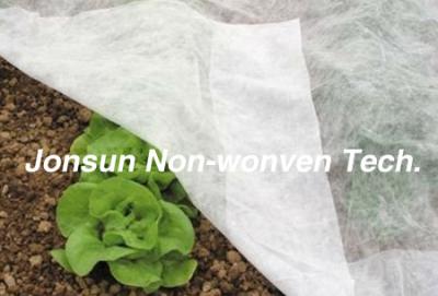 China PP Spun bonded & Nonwoven Fabric Agriculture cover with UV for sale