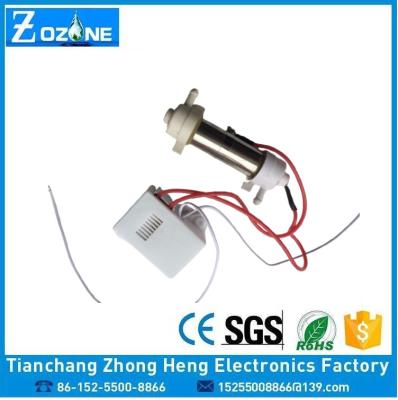 Cina 10W 500mg generatore di ozono tubo tubo di ozono ceramica in vendita