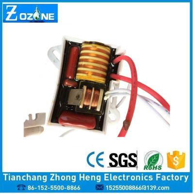 Cina 10W 500mg generatore di ozono tubo tubo di ozono ceramica in vendita