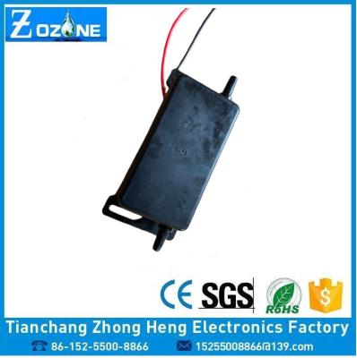 Cina Macchina generatrice di ozono per vasca di ghiaccio elettrica nera 200 mg in vendita