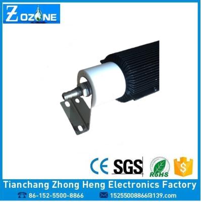 Cina 220V 40g tubo di ozono in ceramica tubo di raffreddamento ad acqua generatore di ozono in vendita