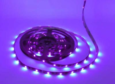 China DC12V 24W UV Purple LED Strip Light Kits SMD5050 Long Lifespan for Home for sale