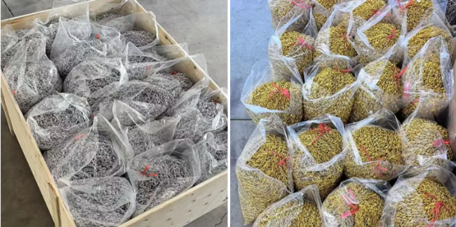 double hook link chain decorative mesh 6.png