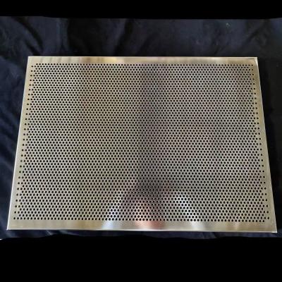 China 304  Perforated Ss Wire Mesh Tray For Drying Fruit Mesh Metal Tray for sale