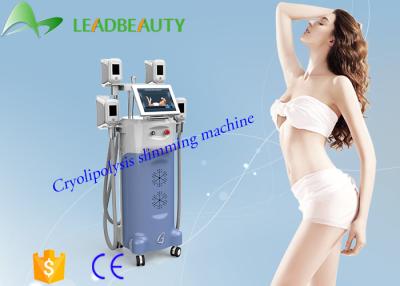 China bottom price vertical cryolipolysis fat freeze slimming machine for sale