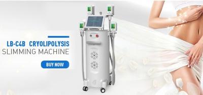 China beauty salon new slimming technology fat-freezing cryolipolysis slimming machine new slimming technology machine for sale