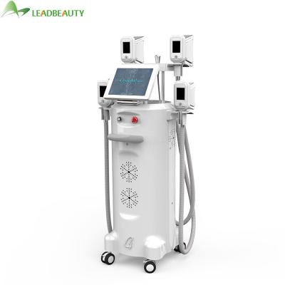 China Body shaping Weight Loss Slimming fat freezing lipo machine criolipolisis beauty system for sale