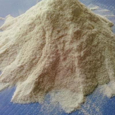 Cina Grado alimentare Agar Agar 1000 CAS Rn. 9002-18-0 per le esigenze del cliente in vendita