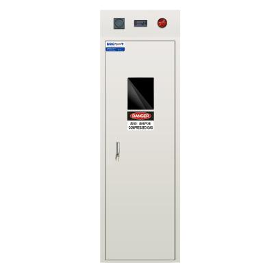 China ZOYET Medical Compressed Gas Cylinder Storage Cabinet , Drum Safety Storage Cabinets for sale