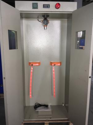 China ZOYET Lockable Gas Storage Containers Ventilated Single Cylinder For Laboratory for sale