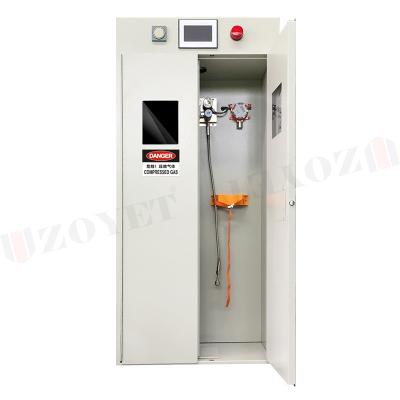 China High quality crs plates industrial gas cylinder safety cabinets with high-strength handle for sale
