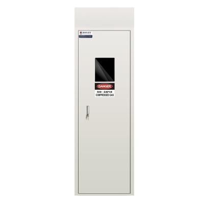 China ZOYET Compressed Gas Cylinder Storage Cabinet  For Hydrogen H2 for sale
