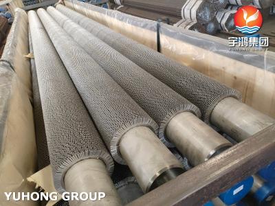 China A312 TP304, TP304H,TP304L Tubo de barbatanas serrilhadas SS304H Barbatanas para secção de convecção do aquecedor à venda